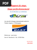Rapport de Stage STB | PDF | Banques | Tunisie