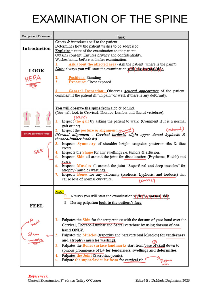 Spine Exam | PDF | Anatomical Terms Of Motion | Vertebral Column