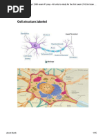 Oad Manual | PDF | Health Care | Human Anatomy