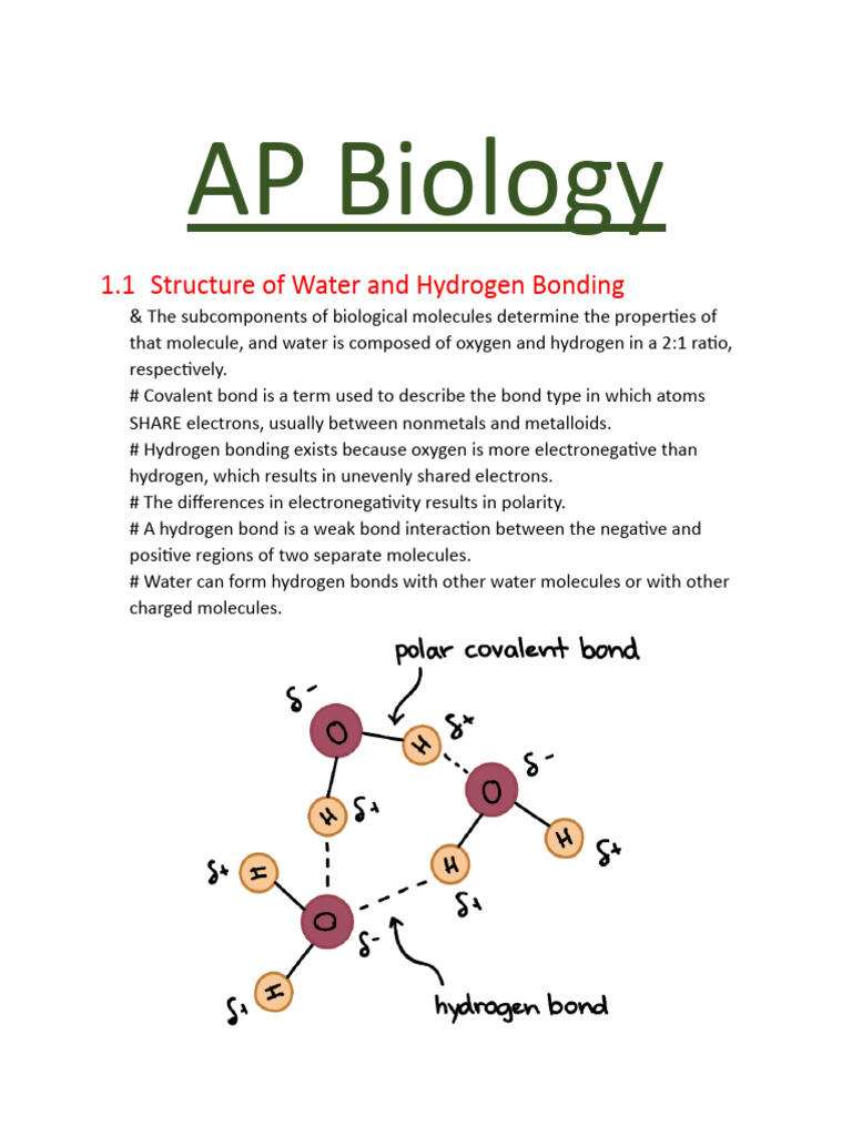 AP Biology | PDF | Chemical Bond | Chemical Polarity