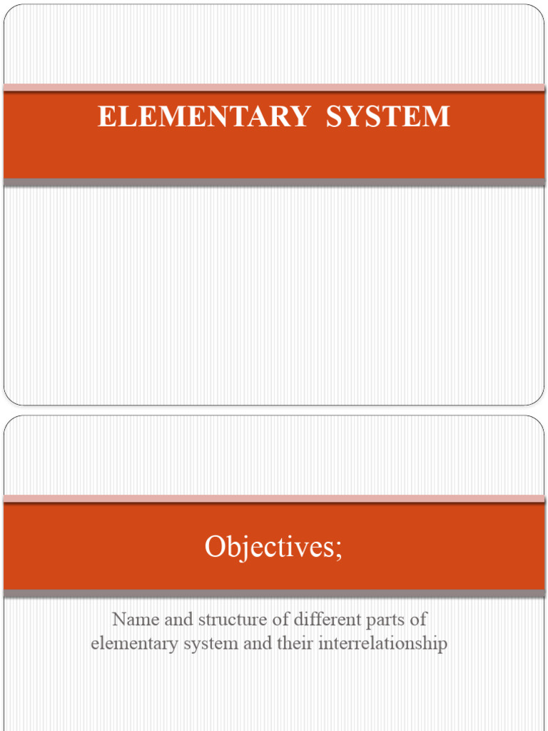 Elementary Canal | PDF | Stomach | Liver
