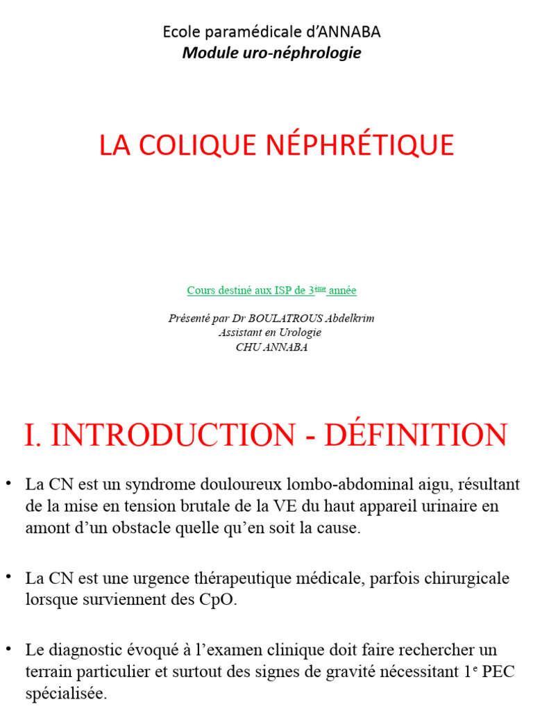 TD04 - Colique Nephretique | PDF | Sciences de la santé | Causes de décès