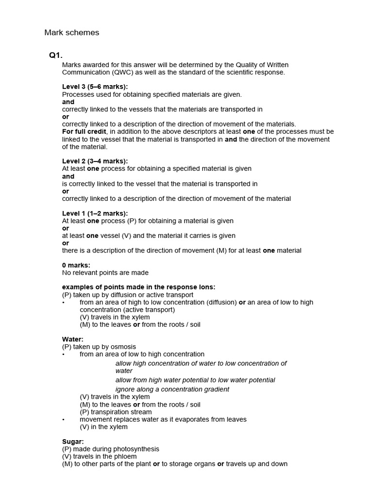 Year 10 Mirror Paper Markscheme | PDF | Gases | Molecules