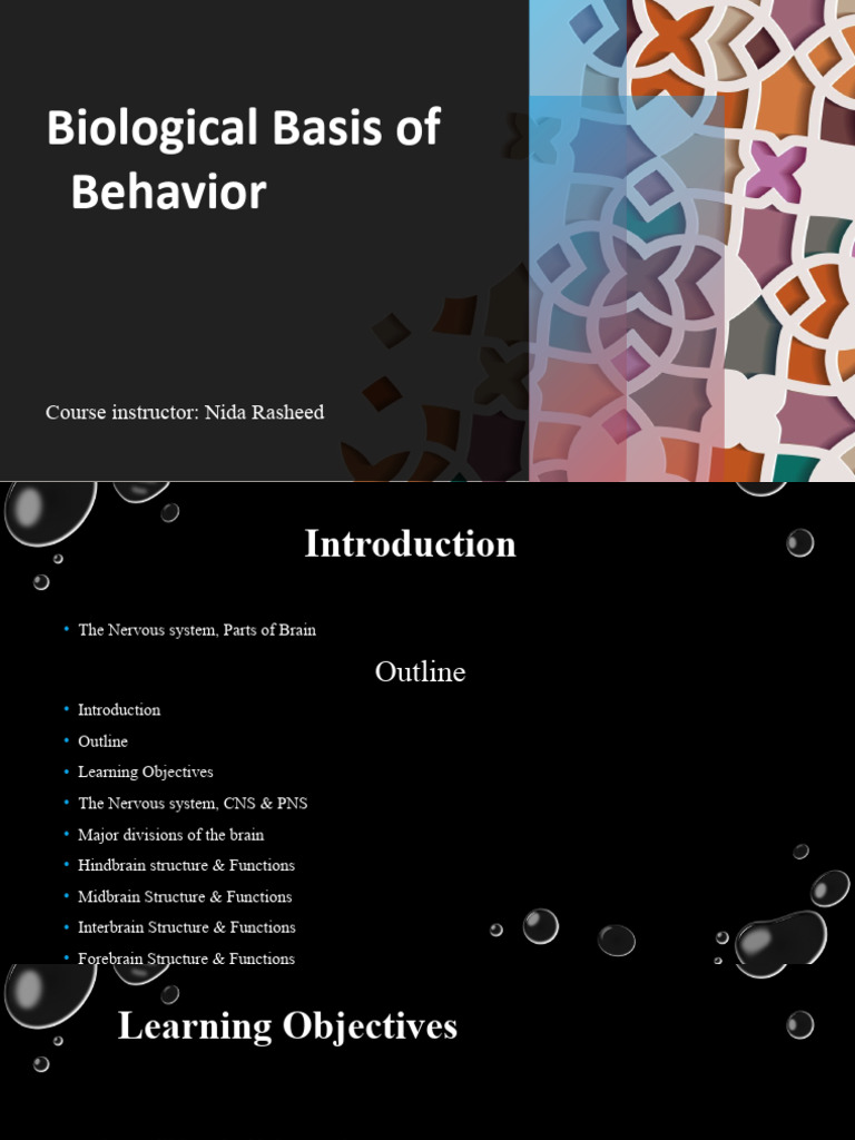 Chapter 3 Biological Basis of Behavior | PDF | Central Nervous System ...