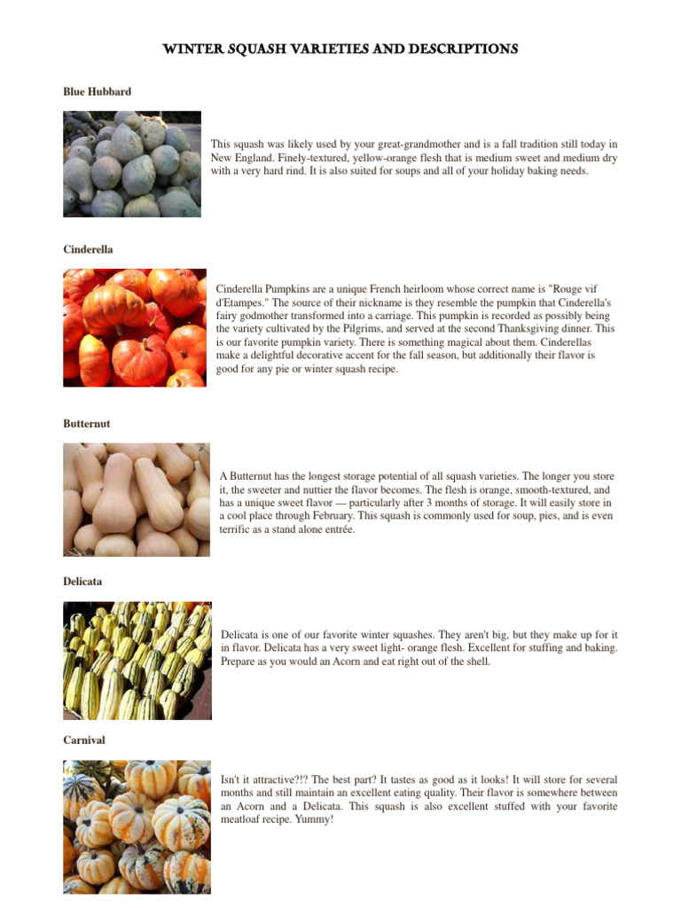 ROF Squash Guide | PDF | Cucurbita | Pumpkin