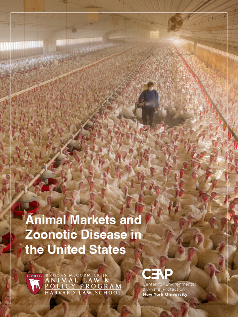 Animal Markets and Zoonotic Disease in The United States | PDF | United ...
