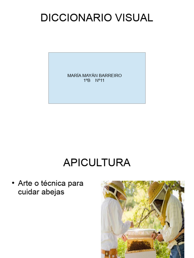 Diccionario Visual de Términos Diversos | PDF