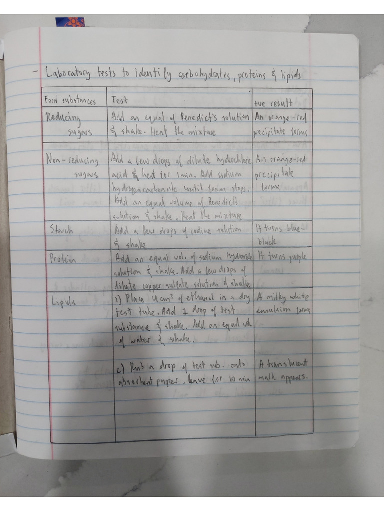 Biology Lab Book | PDF