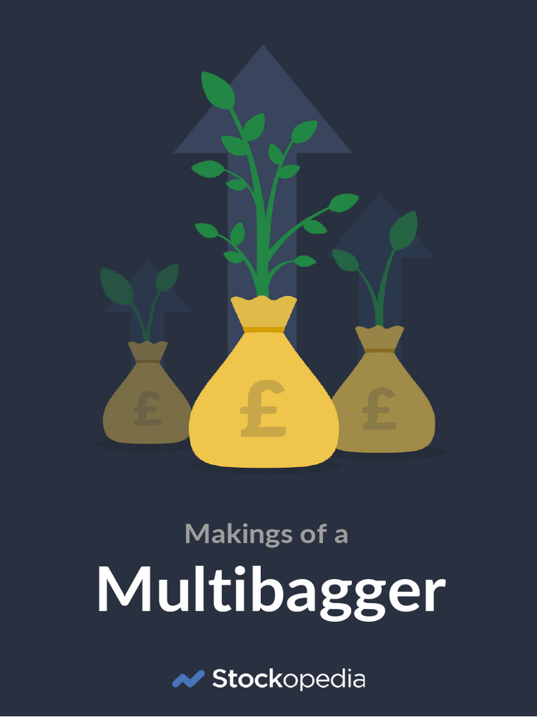 Makings of A Multibagger | PDF | Business