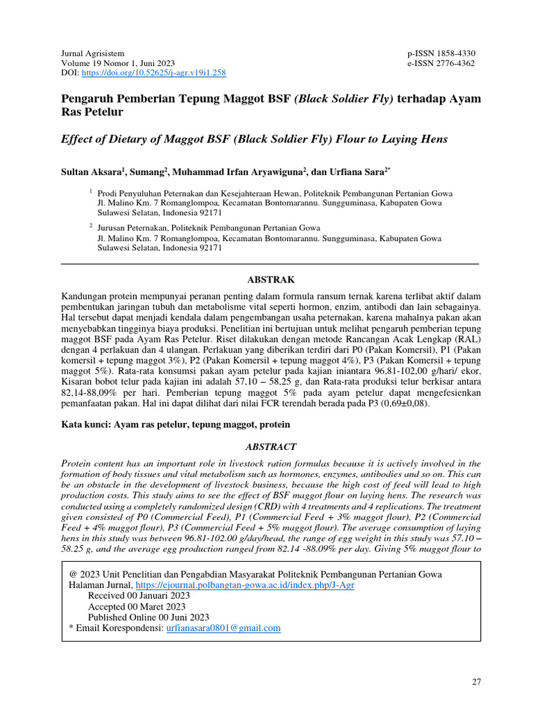 Pengaruh Pemberian Tepung Maggot BSF (Black Soldier Fly) Terhadap Ayam ...