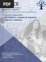 Tipos de tórax y sus características | PDF | Tórax | Anatomía humana