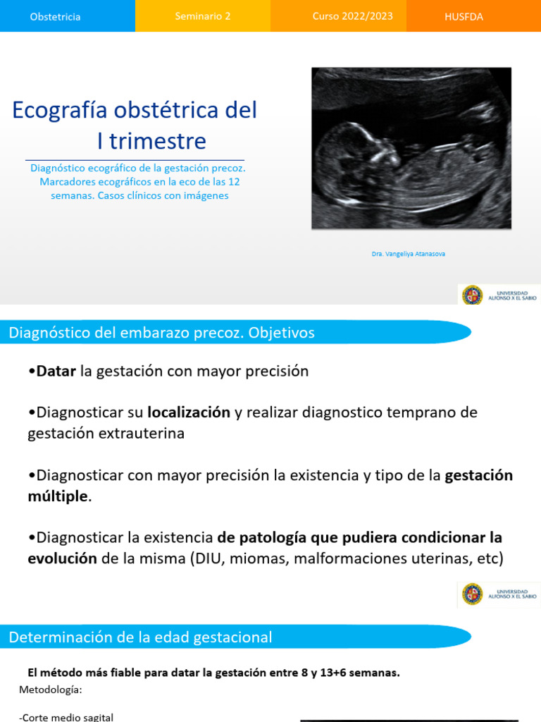 SM 2 - Ecografía Obstétrica Del Primer Trimestre | PDF | El embarazo | Feto