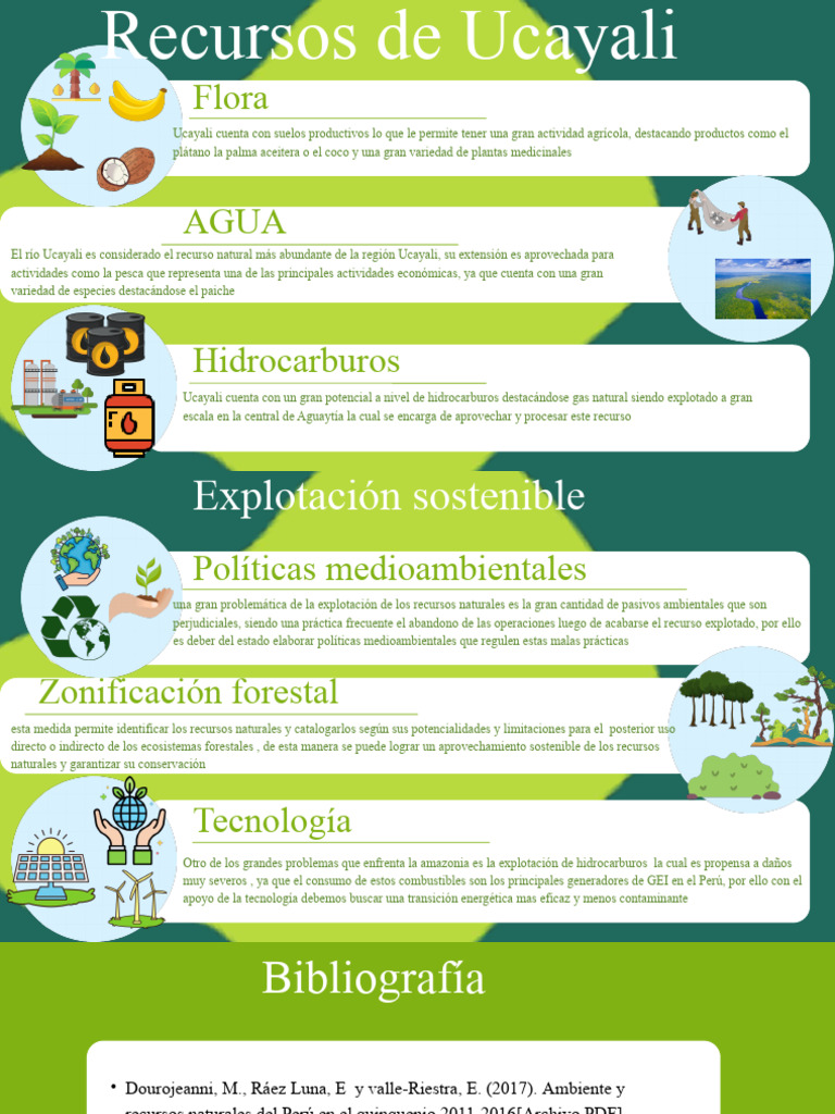 Ucayali | Descargar gratis PDF | Sustentabilidad | Perú