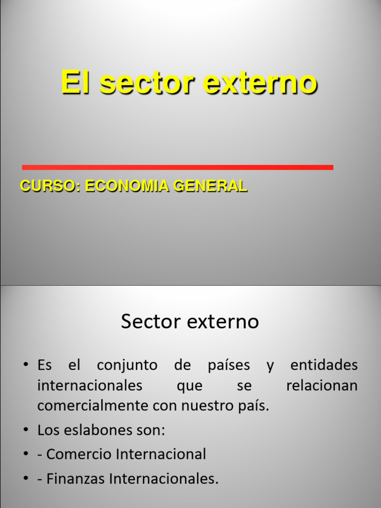 SECTOR EXTERNO | PDF | Tipo de cambio | Moneda