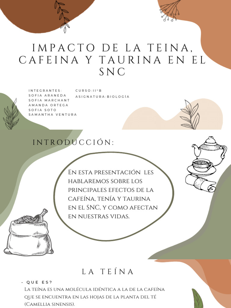 Impacto de La Teina, Cafeina y Taurina en El snc-2 | PDF | Cafeína | Té