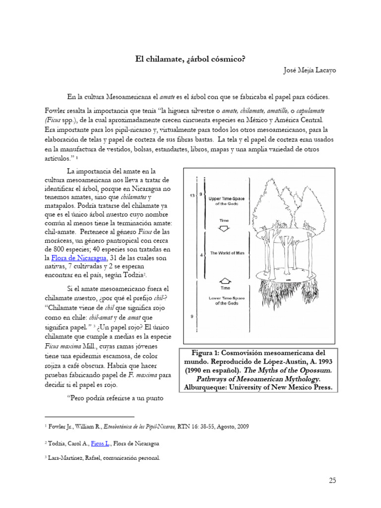 El chilamate, ¿árbol cósmico? | PDF