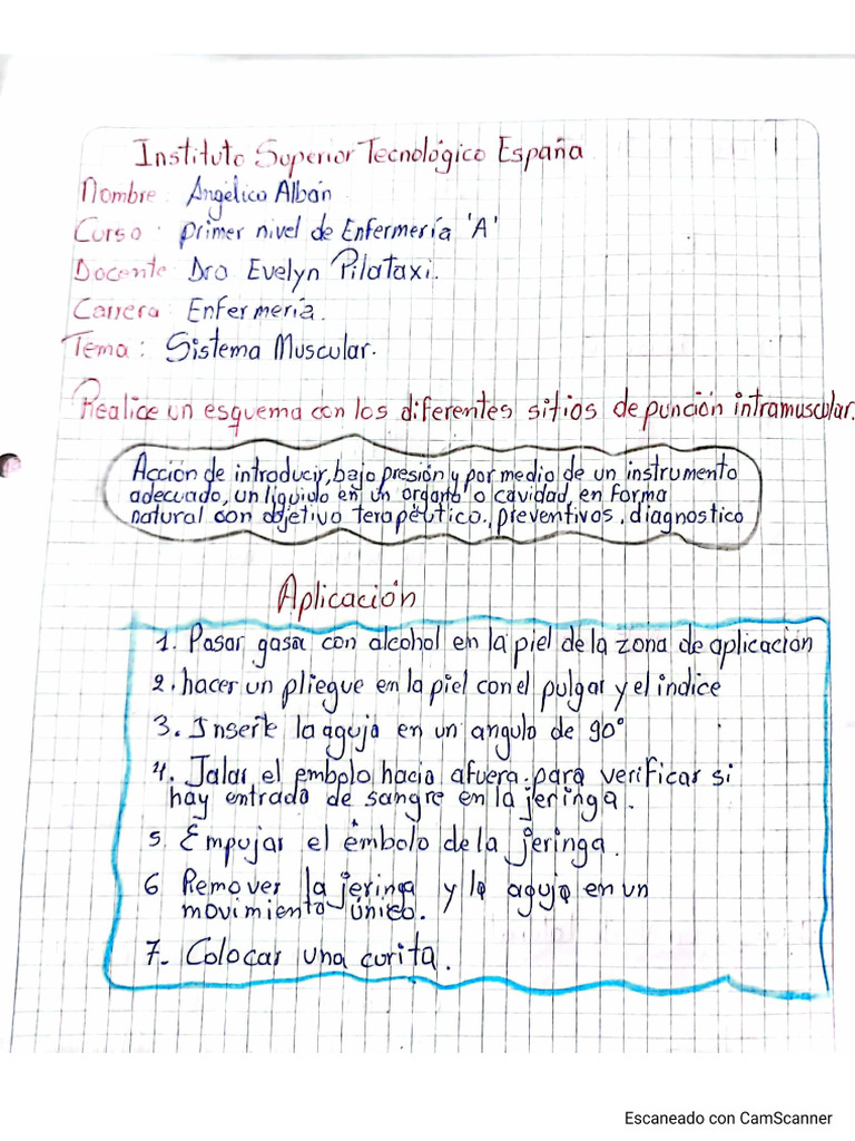 Sistema Muscular Punciones | PDF