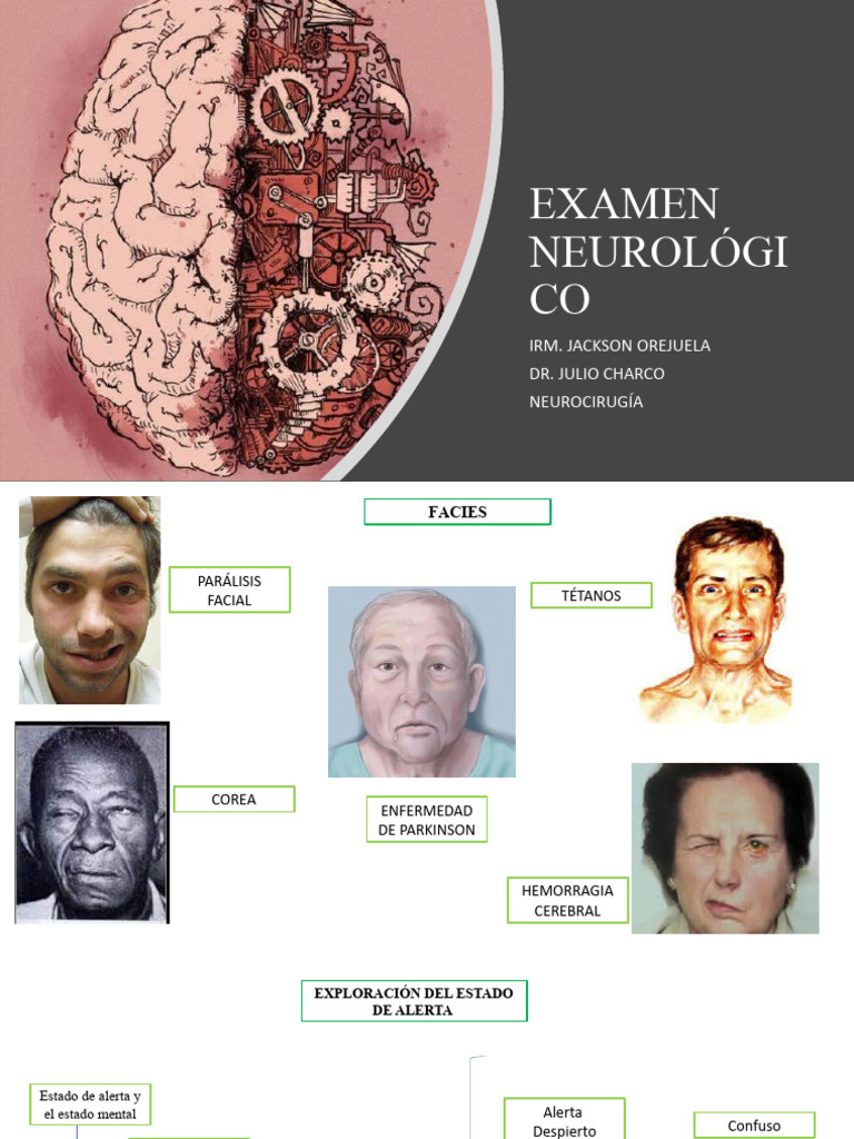 Exposicion Examen Neurologico Jackson | PDF | Neurología | Sistema nervioso