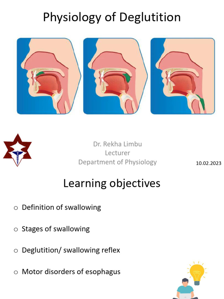 Physiology of Deglutition | PDF | Esophagus | Human Anatomy