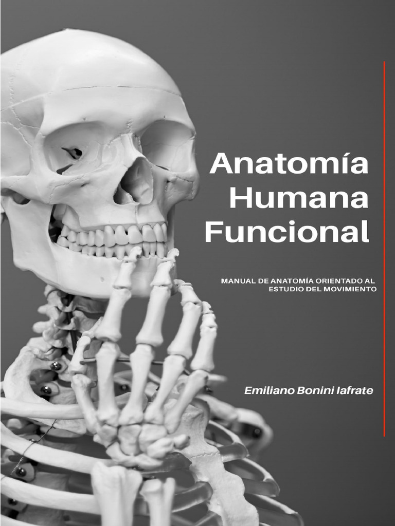 Manual de Anatomía Humana Funcional - Bonini | PDF | Hueso | Vértebra