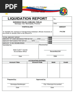 Liquidation Report - Sample | PDF