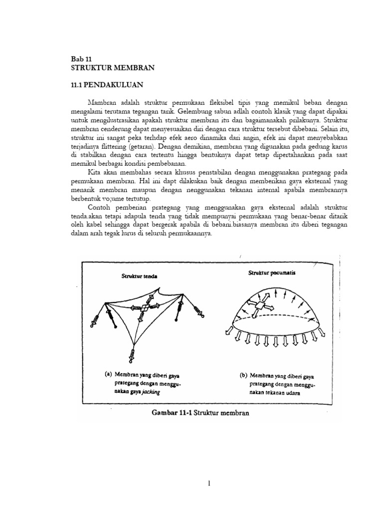 Sistem Membran | PDF