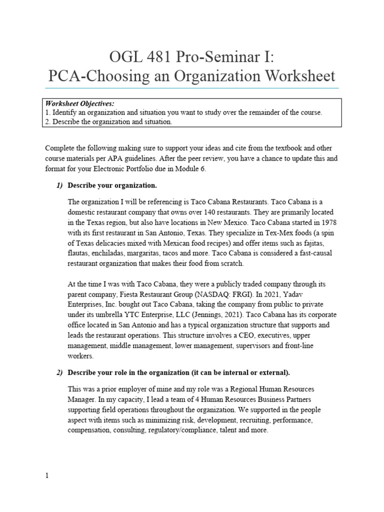 TC Choosing An Org Worksheet | PDF | Employment | Business