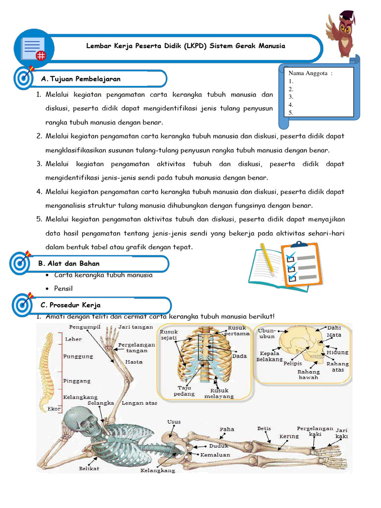 LKPD Sistem Gerak Manusia | PDF