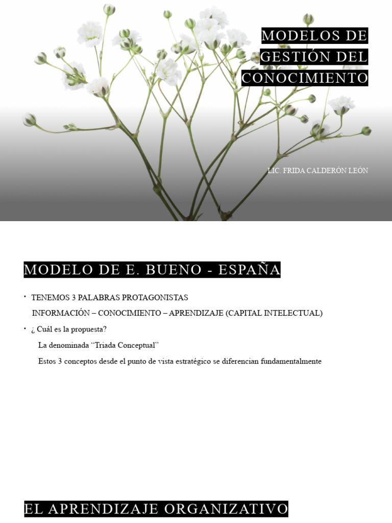 Modelos de Gestion Del Conocimiento 4ta Clase | PDF | Conocimiento | Aprendizaje