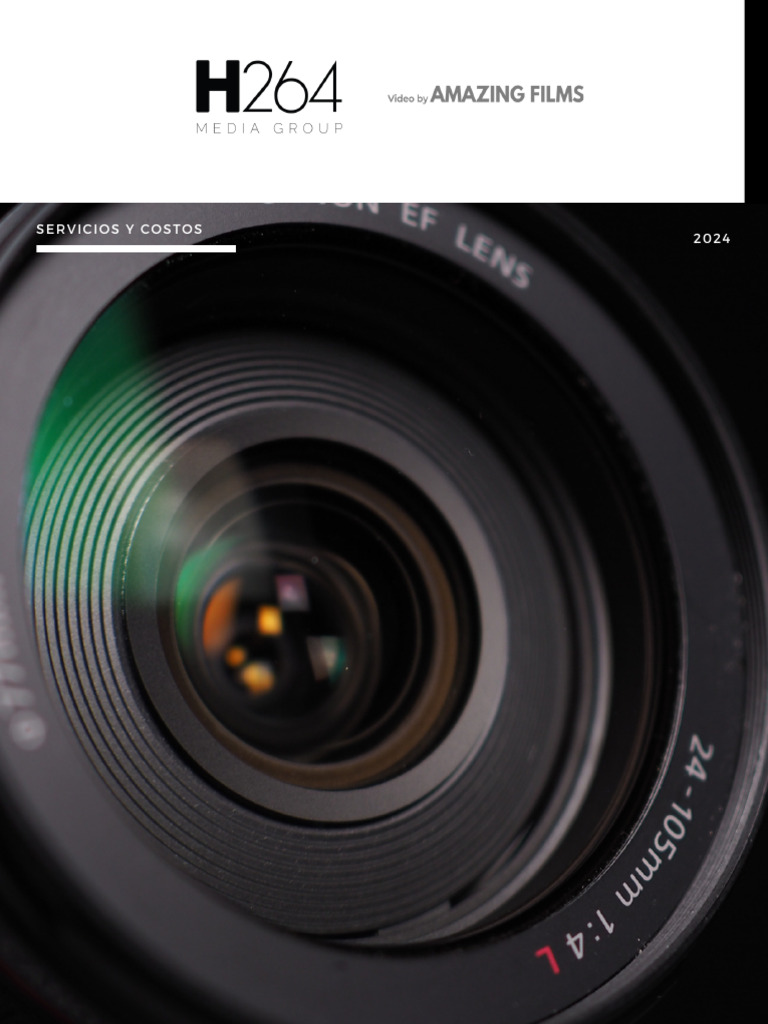 BODAS h264 2024 | PDF