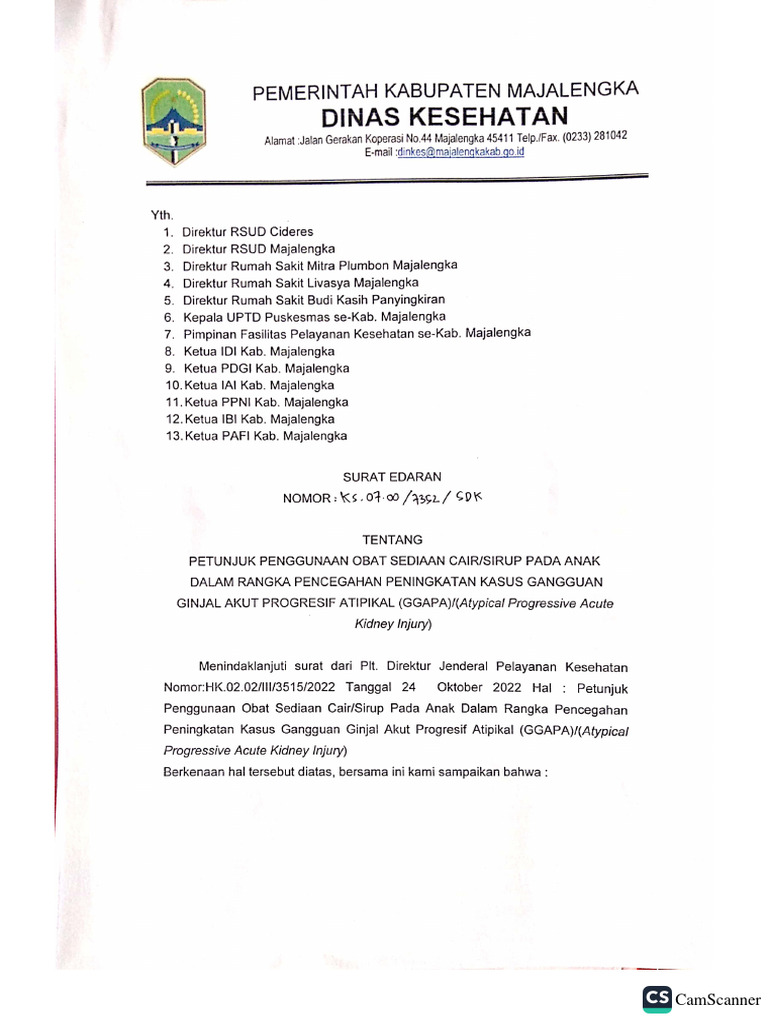 SE Sediaan Sirup | PDF