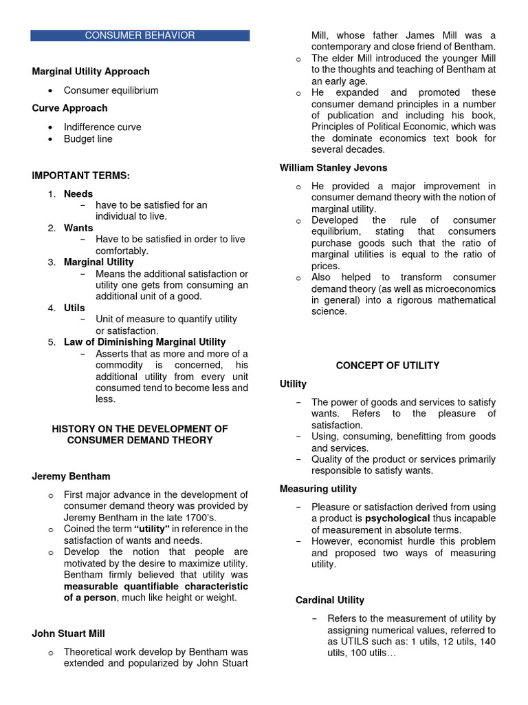 Be313 Consumer Behavior | PDF | Utility | Marginal Utility