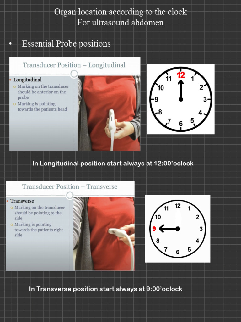 US Probe Direction | PDF | Liver | Abdomen