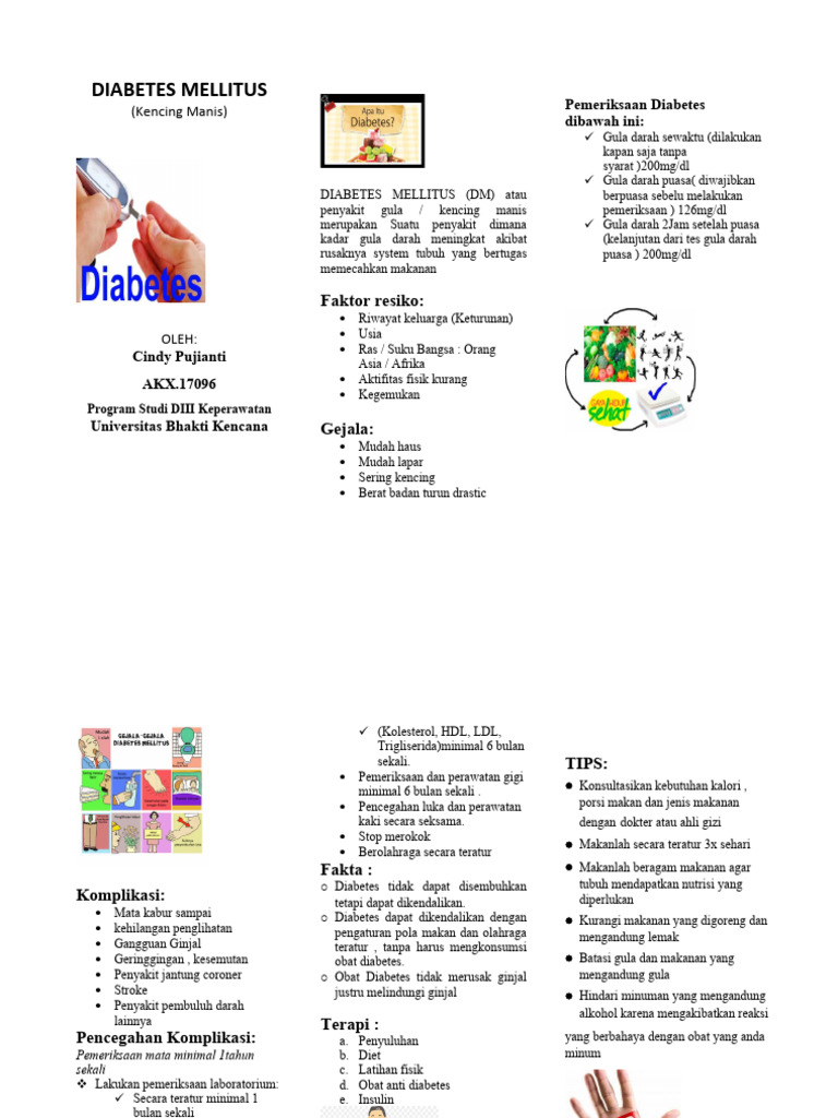 Panduan Diabetes Melitus dan Pencegahan | PDF