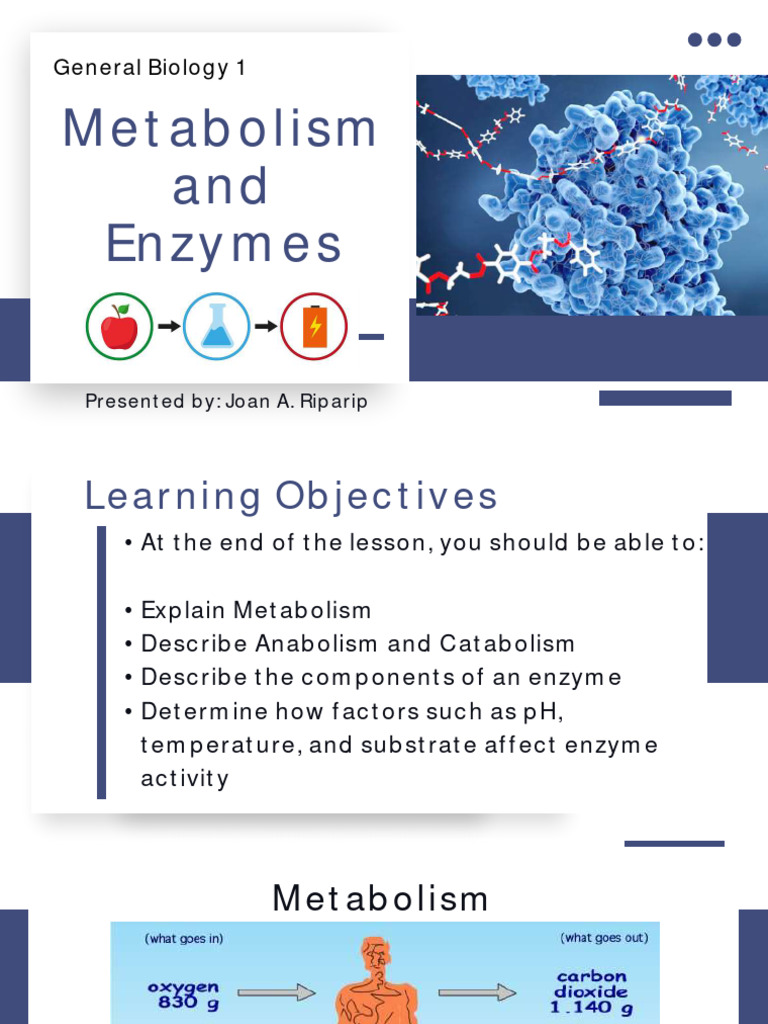 Enzymes- (1) | PDF
