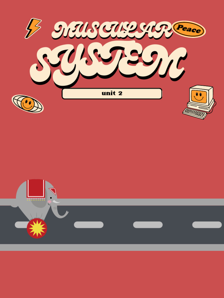 Muscular System | Download Free PDF | Anatomical Terms Of Motion ...