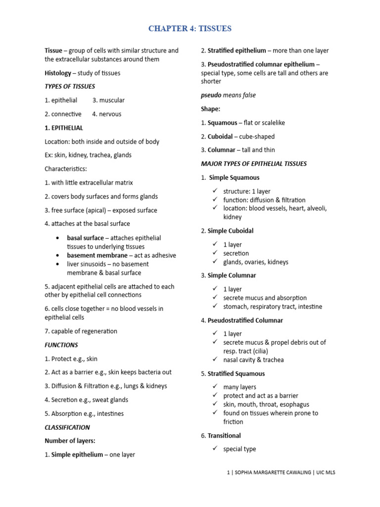 AnaPhy Chap4 Tissues Transes | PDF | Epithelium | Anatomy
