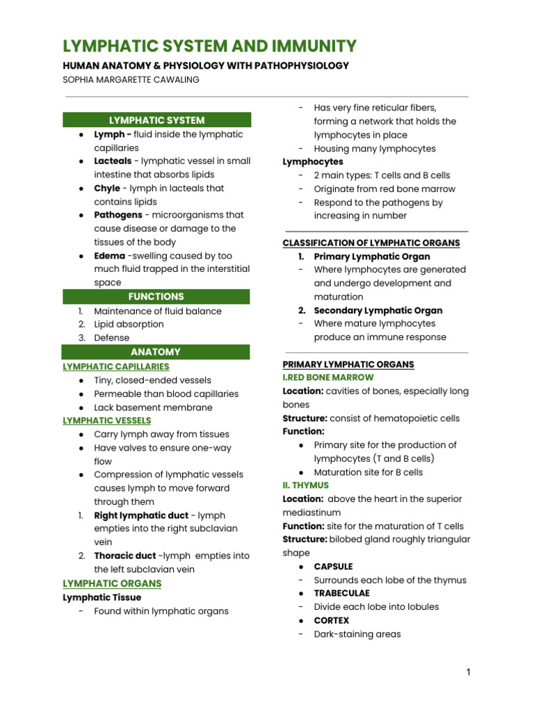 Lymphatic System Transes 1 | PDF | Lymphatic System | Immune System