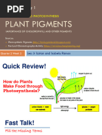 Rf Values of Plant Pigments in Chromatography | PDF