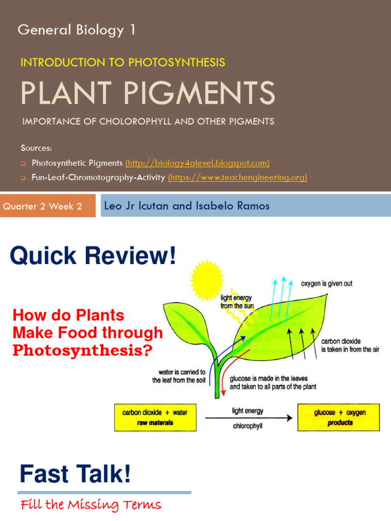 Plant Pigments Gen Bio 1 Q2 Week 2 by Sir Leo JR and Sir Bil Ramos ...