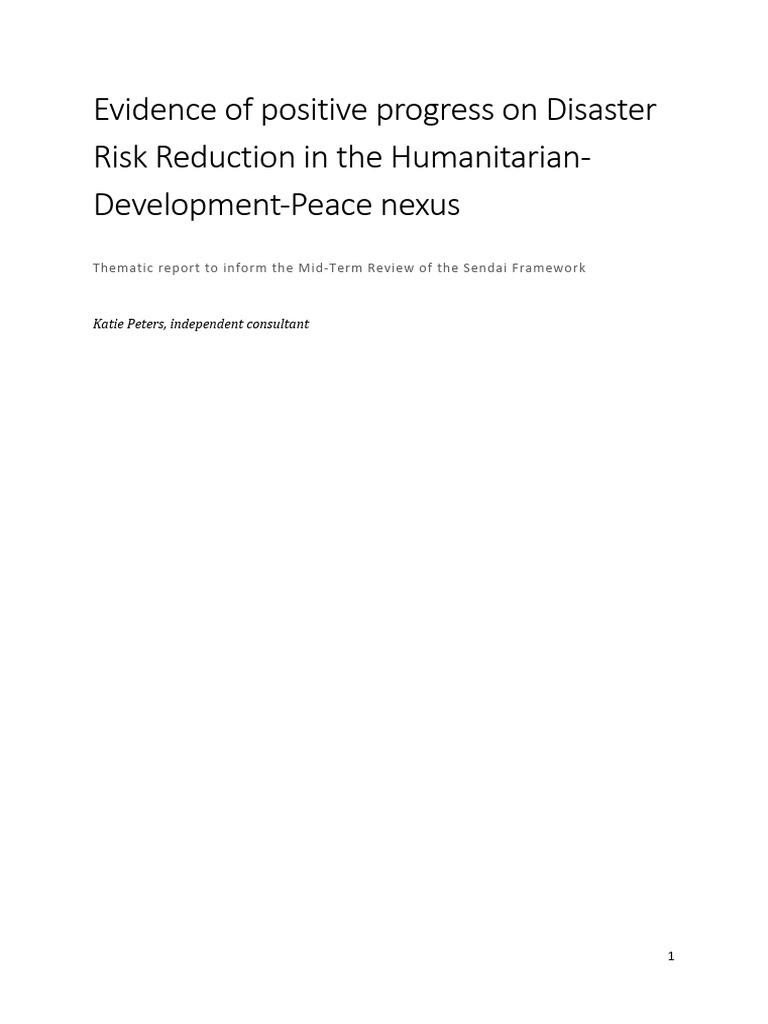 Thematic Study DRR in The HDP Nexus | PDF