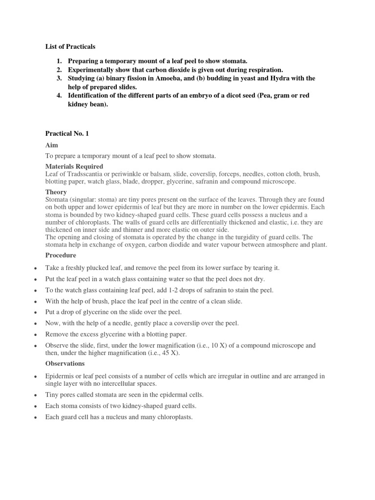 Biology CBSE Practicals Class 10th | PDF | Stoma | Leaf