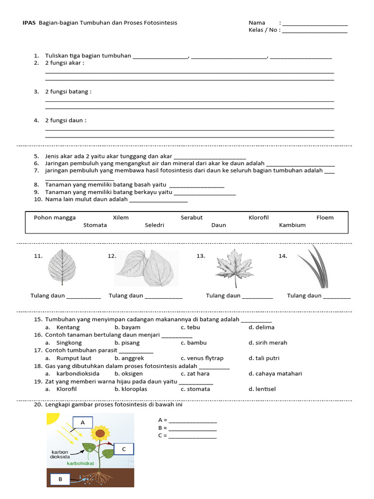 Soal Latihan PH IPAS | PDF | Griya & Taman