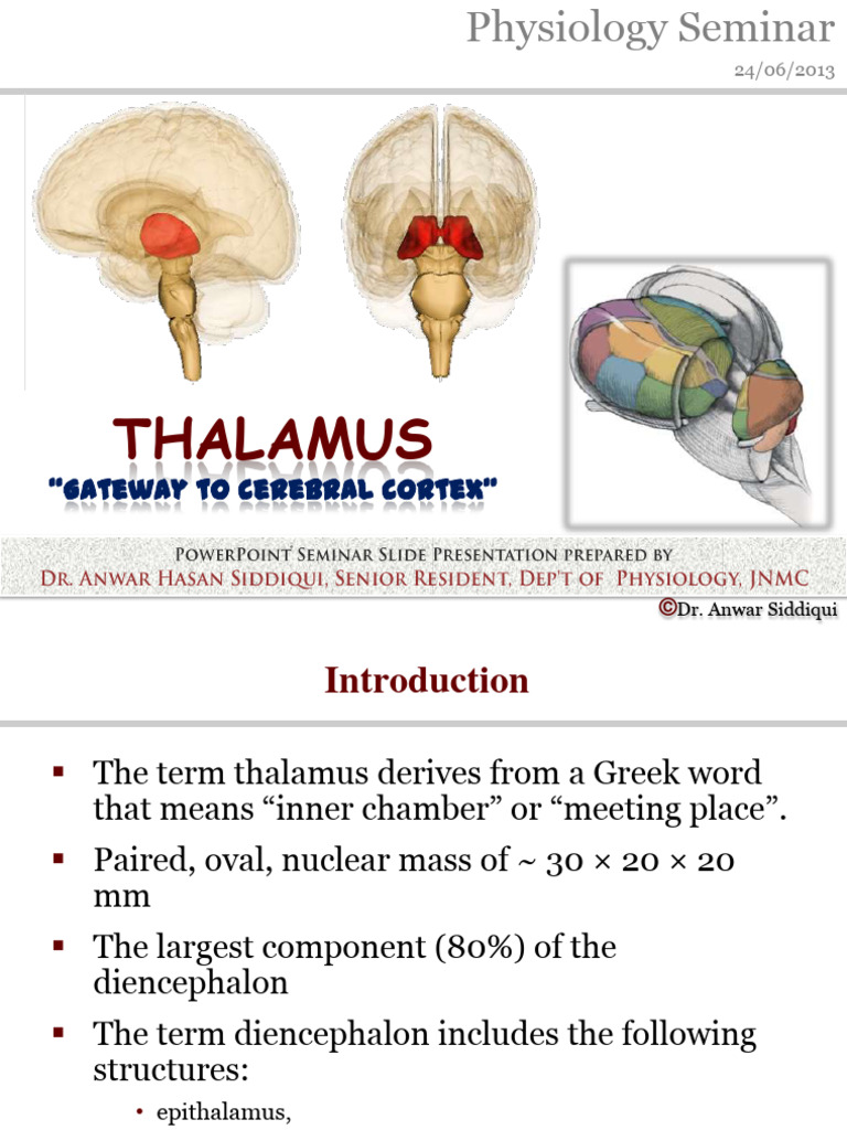 Thalamus 130624023852 Phpapp02 | PDF | Thalamus | Cerebral Cortex