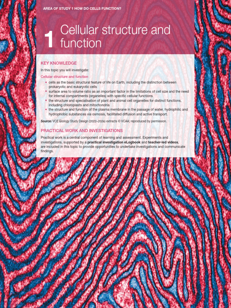 C 01 Cellular Structure and Function | PDF | Cell (Biology) | Prokaryote