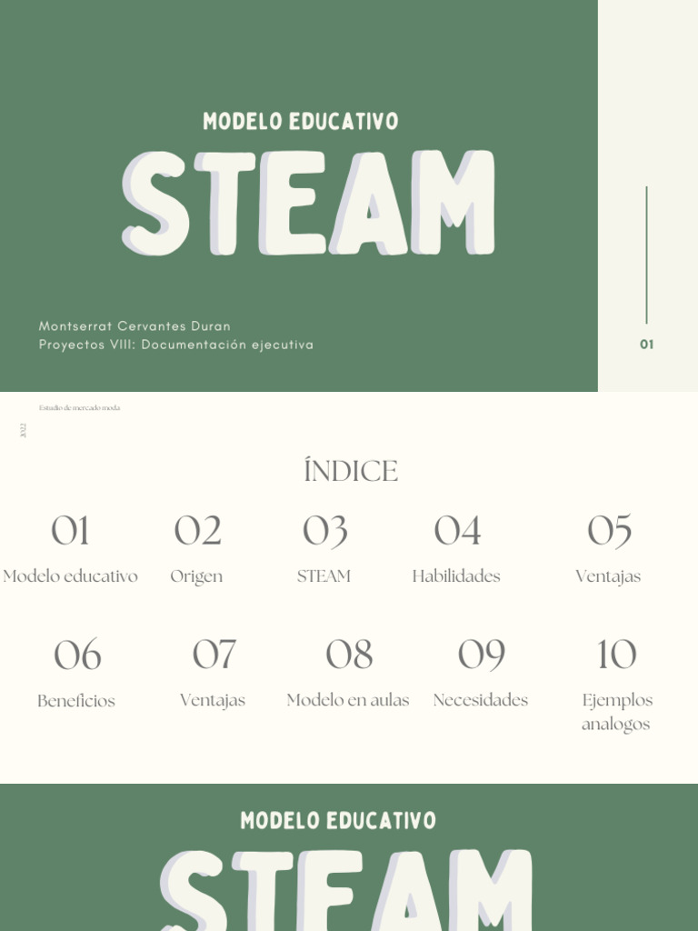 STEAM | PDF | Aprendizaje | Science