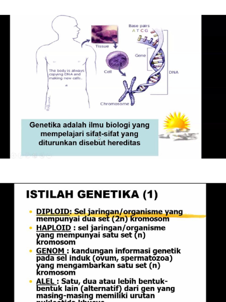 Genetika Dasar | PDF
