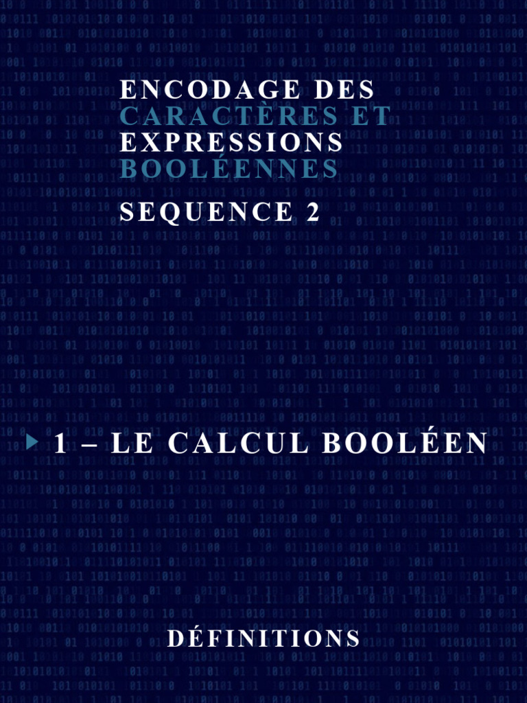 Chapitre 2 - Encodage Des Caractères Et Expressions Booléennes | PDF
