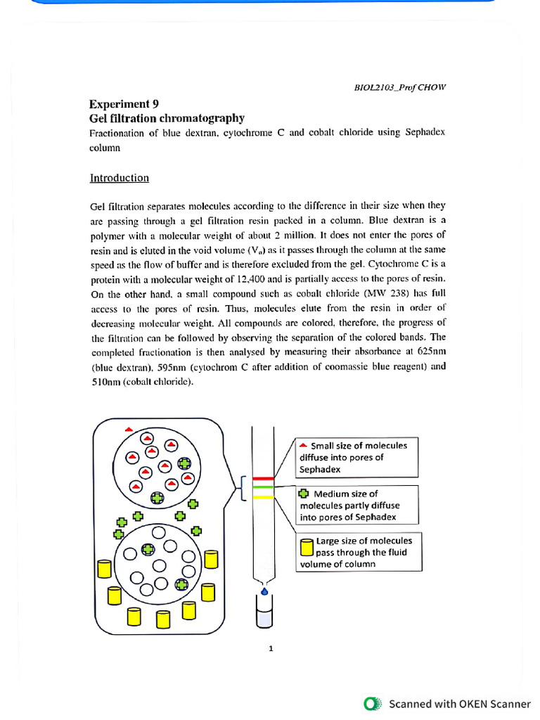 Gel Filtration Expt. | PDF