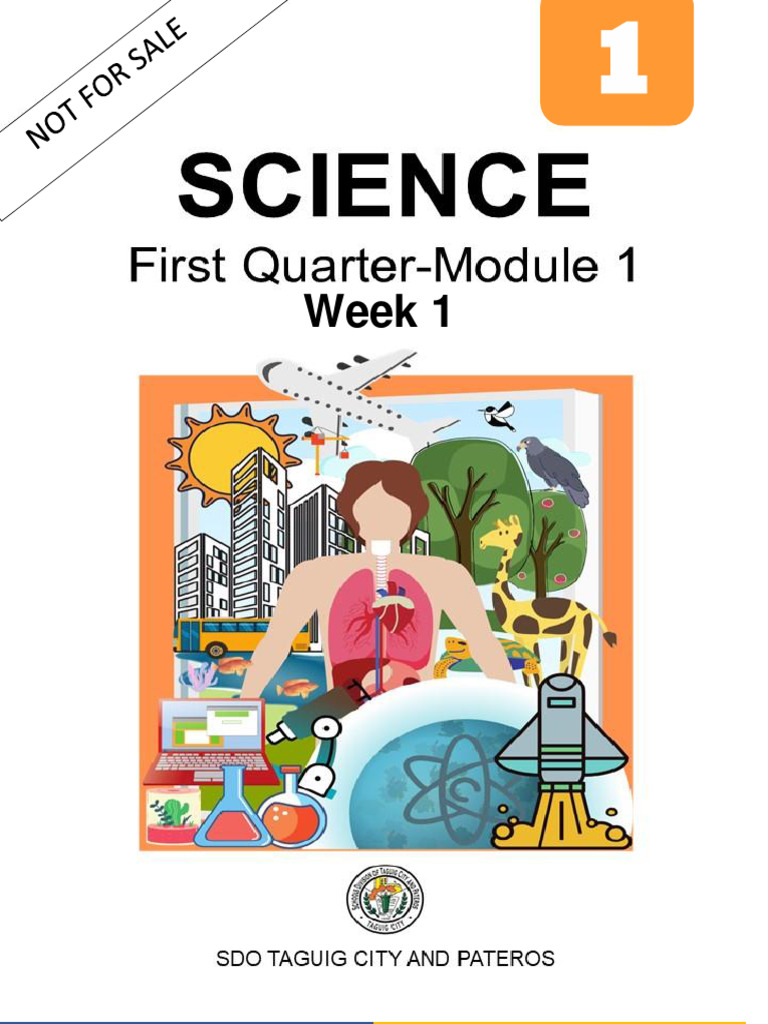 Tis Es Science English and Mathematics For Grade One Special Science ...